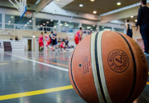 Basketball Sizes Standard: Choosing the Right One for You