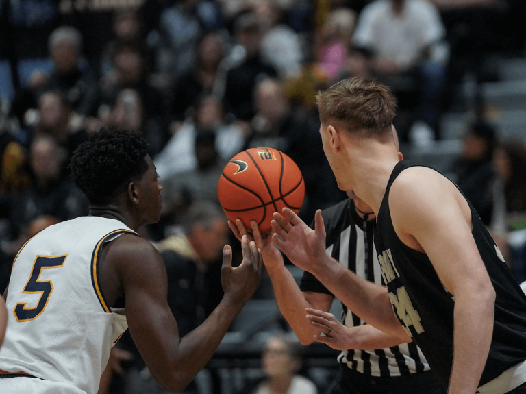 Types of Basketballs: Which One Is Right for Your Game?